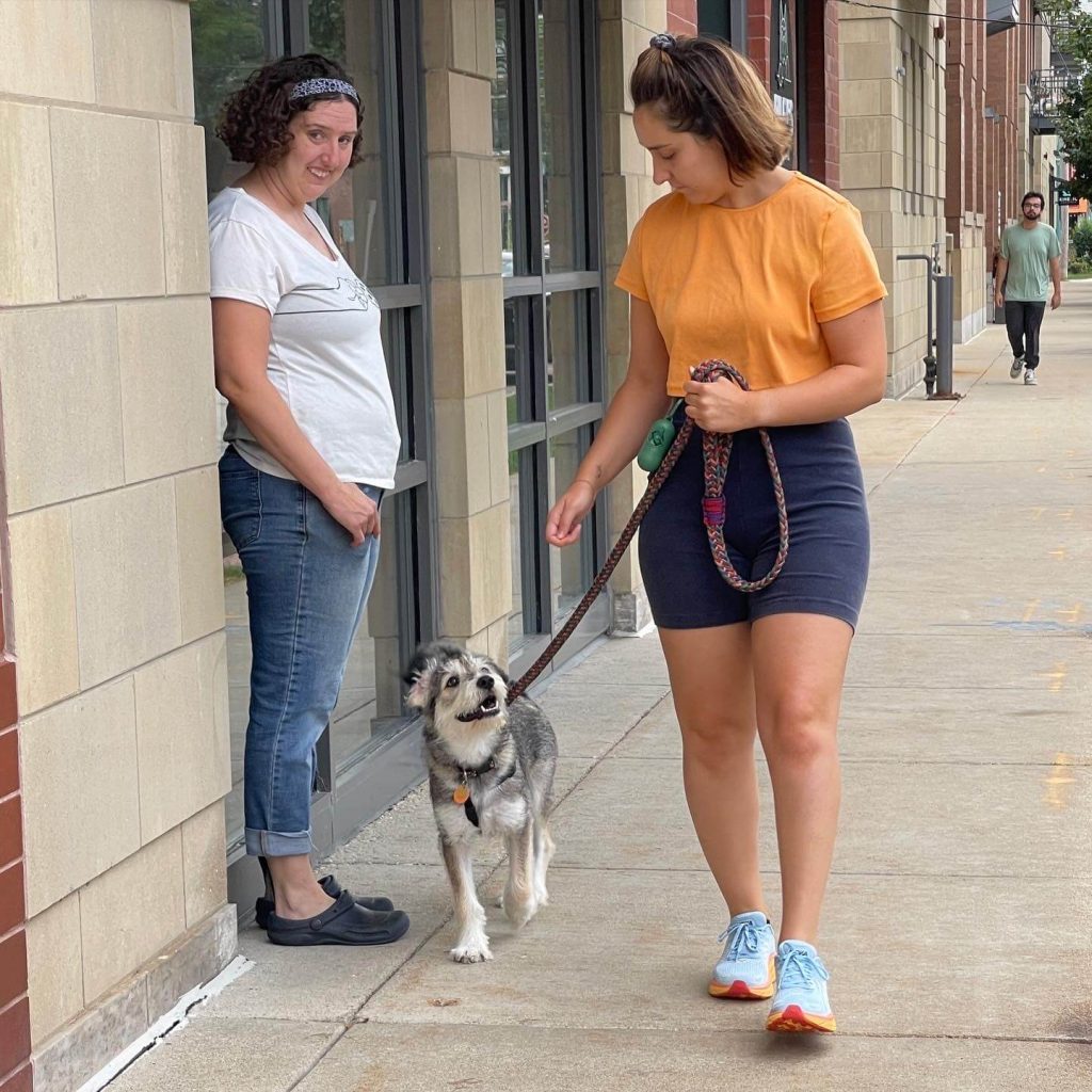 Setting Appropriate Goals in Dog Training - Canine Einstein